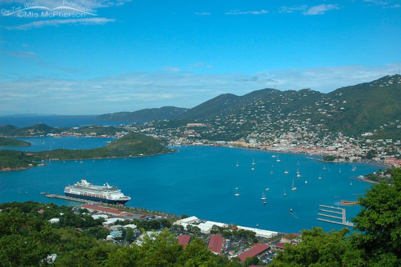 View of St Thomas from Paradise Point – Mia McPherson's On The Wing ...
