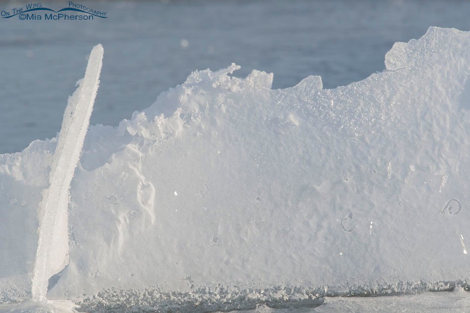 Fractured ice standing upright – Mia McPherson's On The Wing Photography