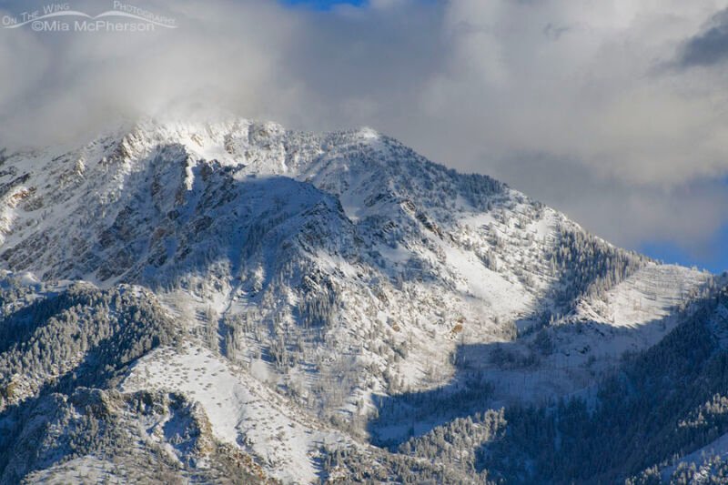 Snowy view of the Wasatch Mountains in November – Mia McPherson's On ...