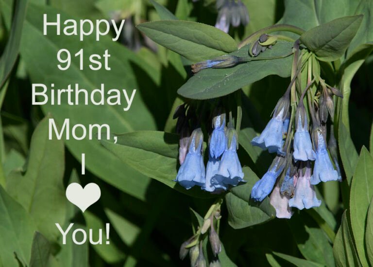 Happy 91st Birthday Mom! - Mia McPherson's On The Wing Photography