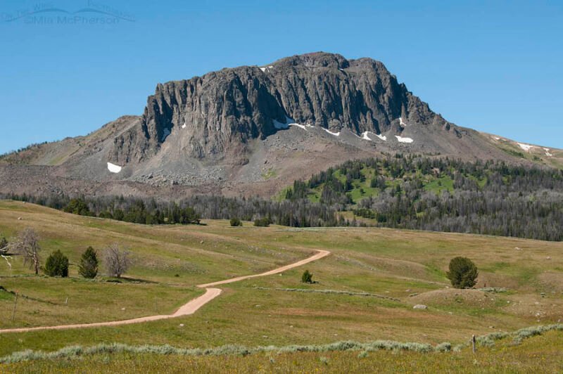 Madison County Images - Mia McPherson's On The Wing Photography